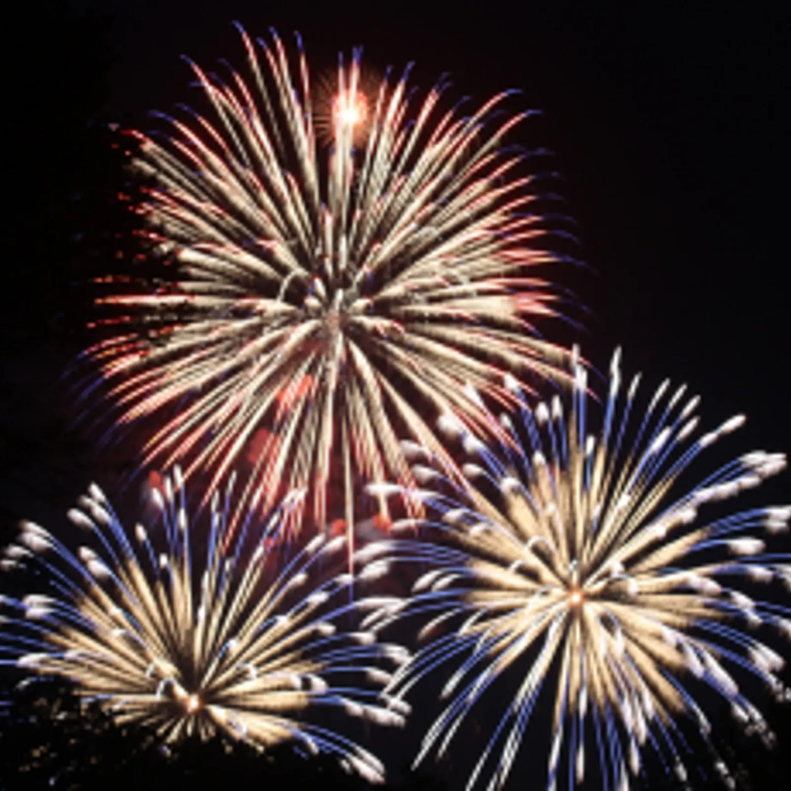 Applications, Licences and Permits | Town of Kingsville